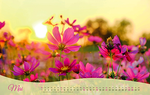 Der Effektkalender mit Druckveredelung